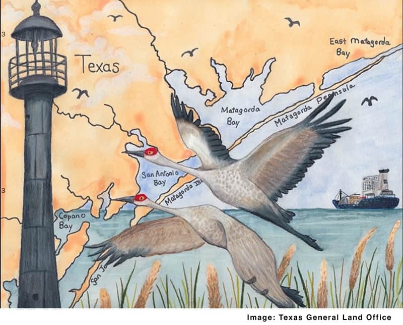 Caribbean Cruises Among Prizes in K-to-6 “Texas Coast Children’s Art ...